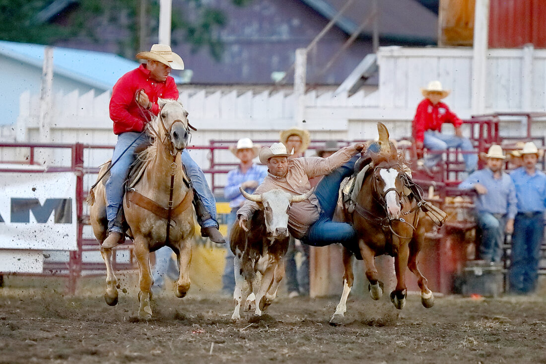 Rodeo gets underway in Gerry, NY | News, Sports, Jobs - Times Observer